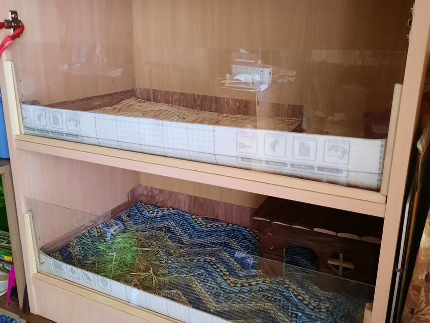 Клетка витрина для морских свинок
