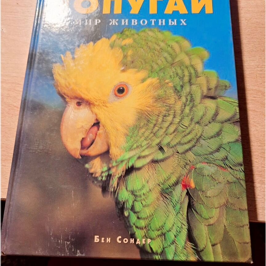 Попугаи
