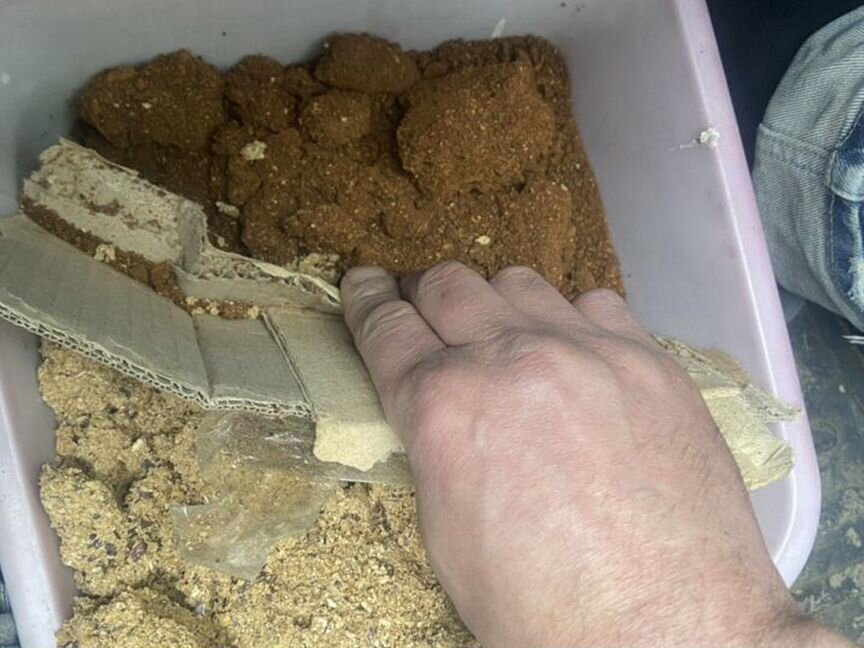 Корма для сельскохозяйственных