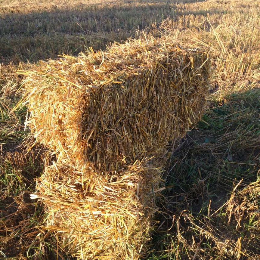 Солома в тюках
