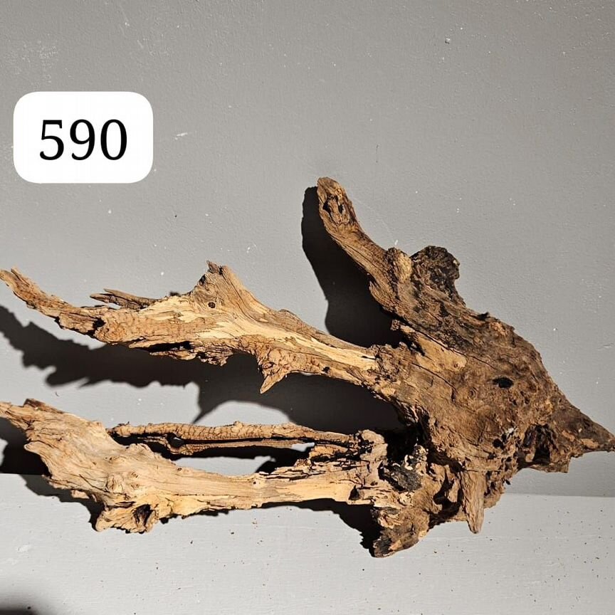 Коряги дубовые