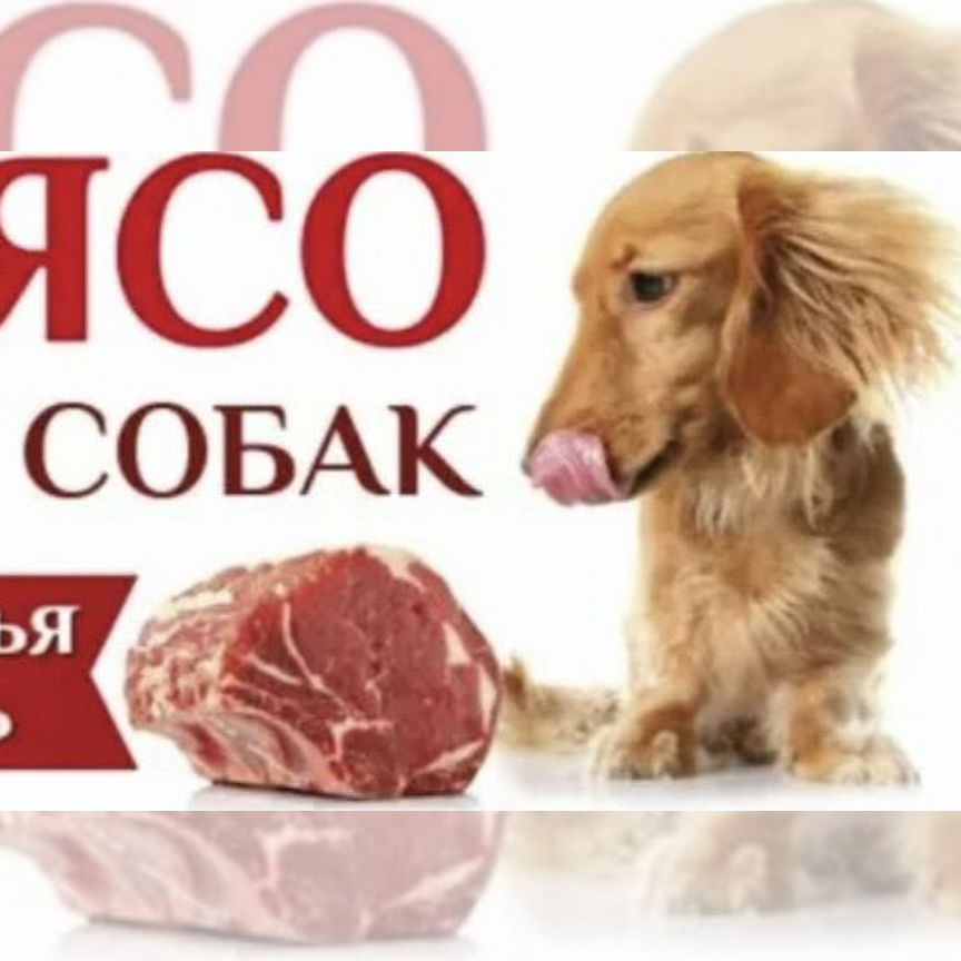 Мяса для собак
