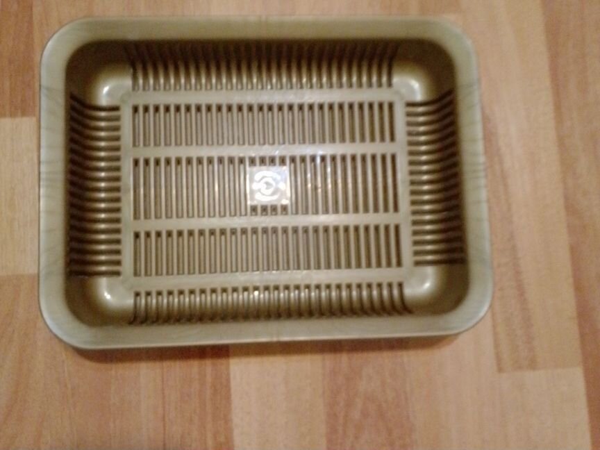 Лоток для котят