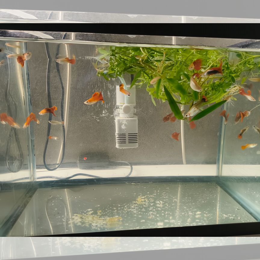 Аквариум, 20 литров