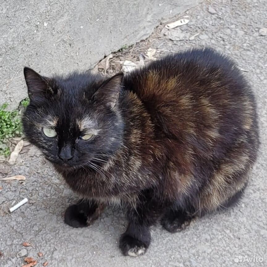 Спасем вместе