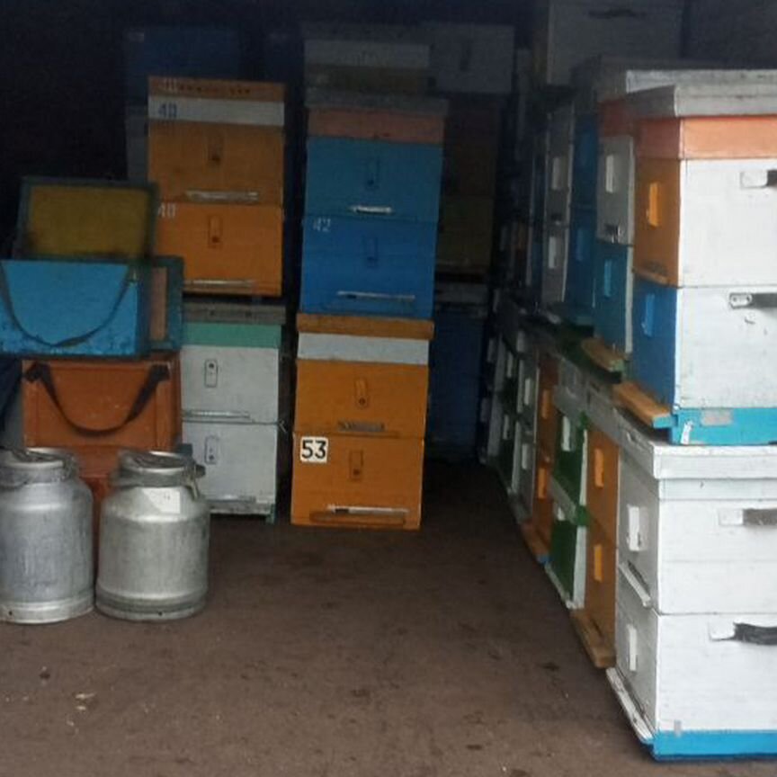 Ульи для пчел бу