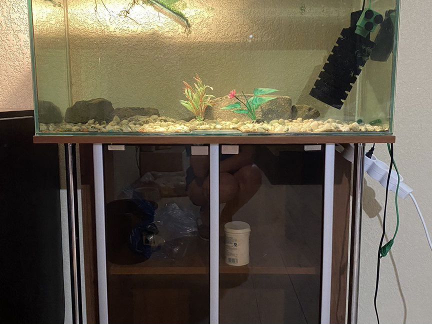 Аквариум террариум для черепахи