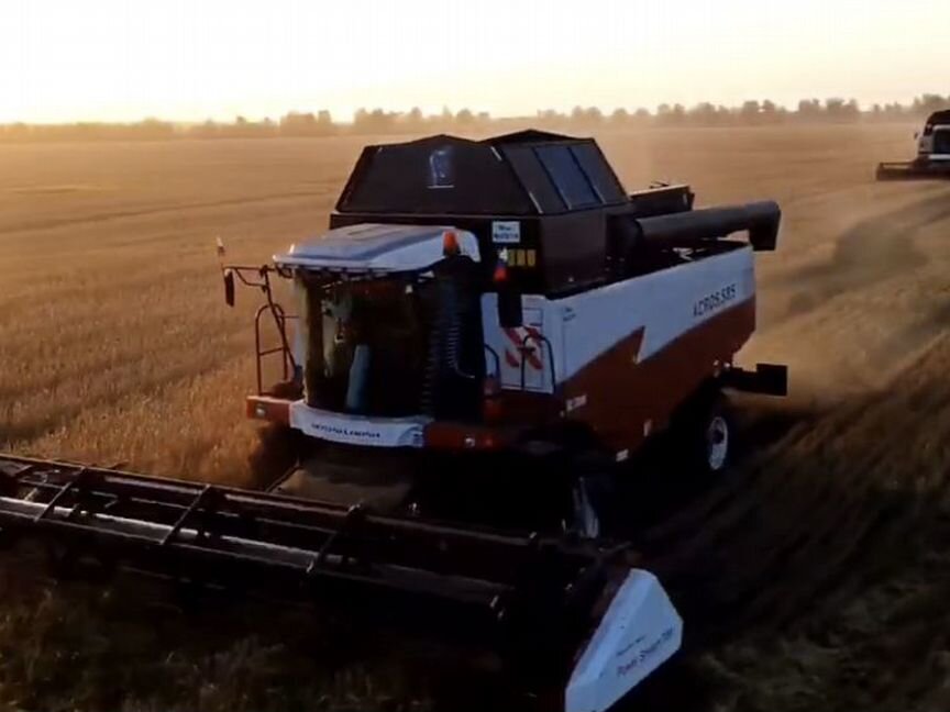 Продам зерновые