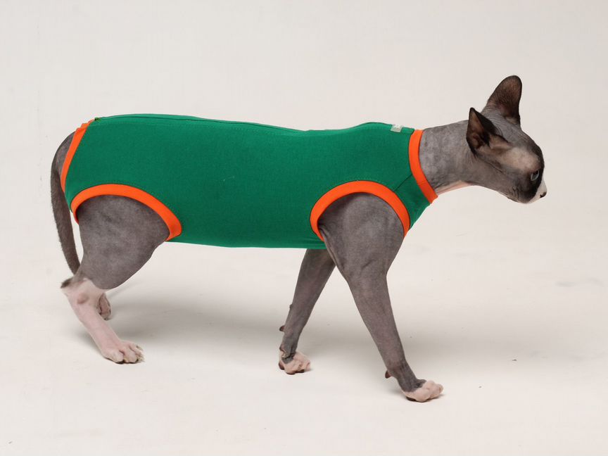 Послеоперационное боди