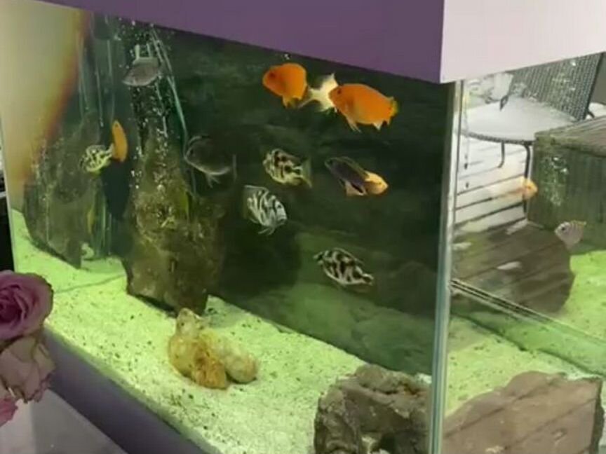 Украшение для аквариума