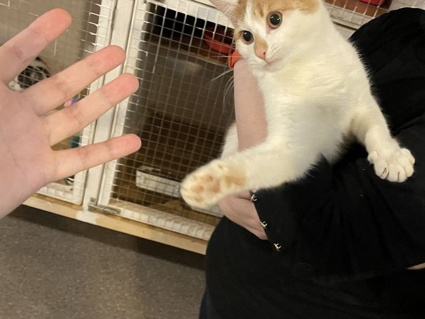 Детки в клетке