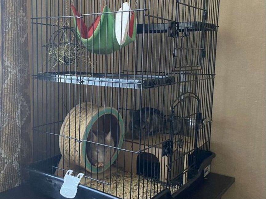 Клетка для грызунов большая