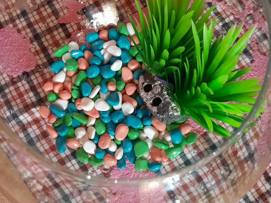 Аквариум шар