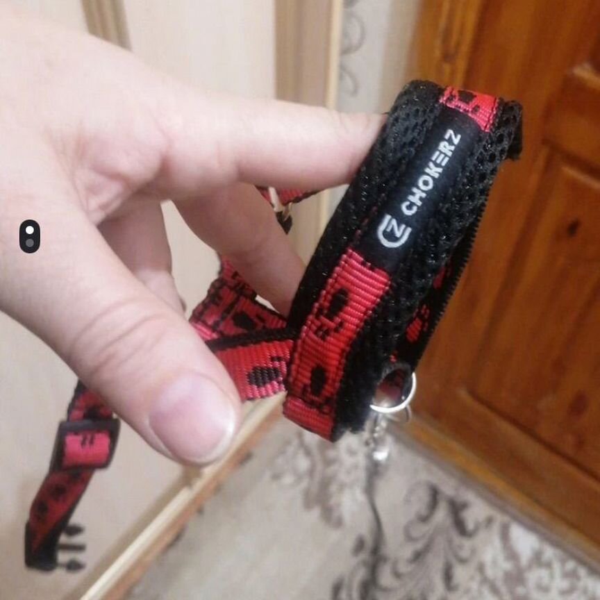 Недоуздок для собак