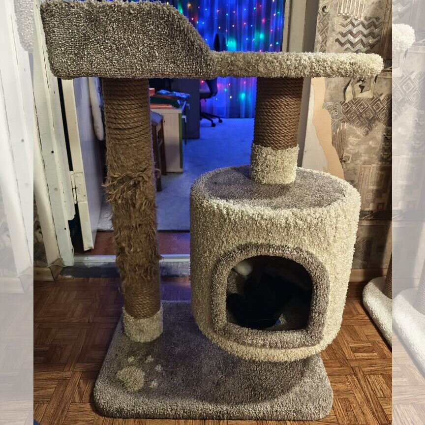 Когтеточка