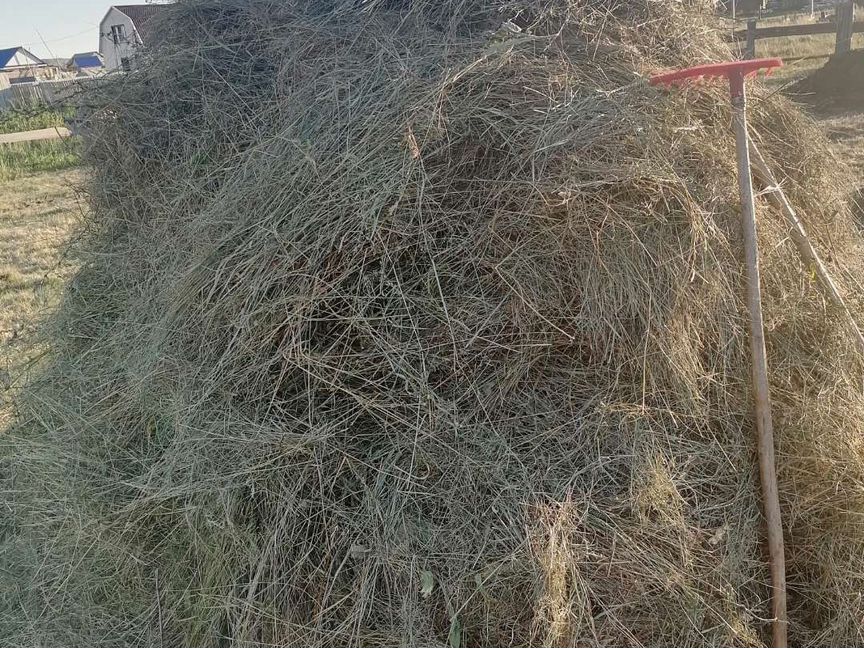 Корма для сельскохозяйственных животных