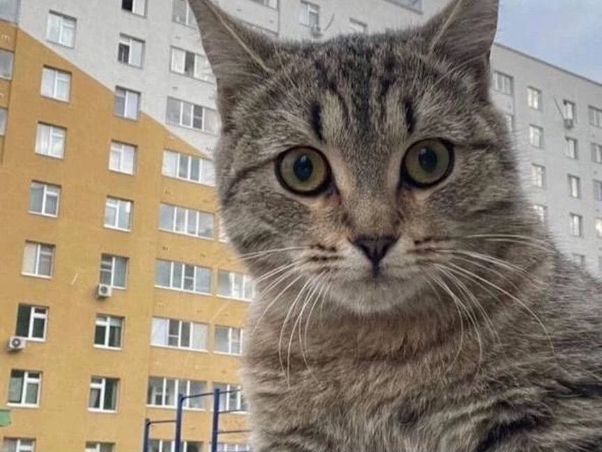 Мэри плюшечка