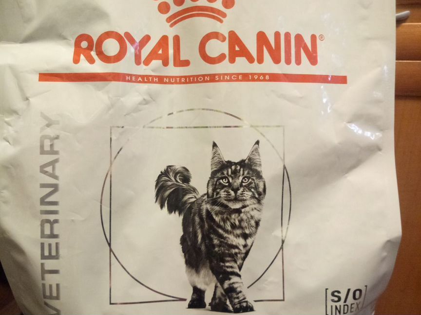 Корм для кошек royal canin skin & coat