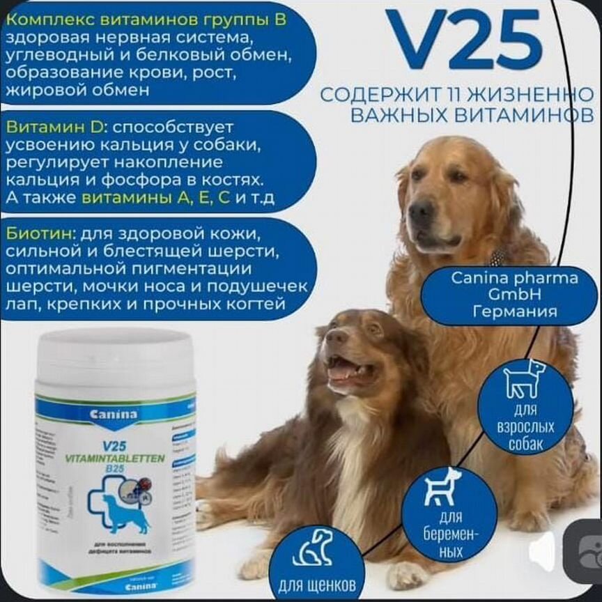 Витамины для собак всех пород