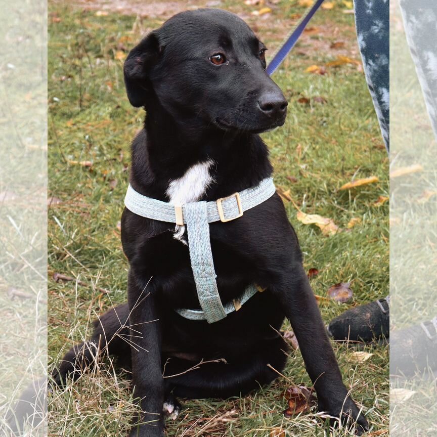 Нежнейшая Лива