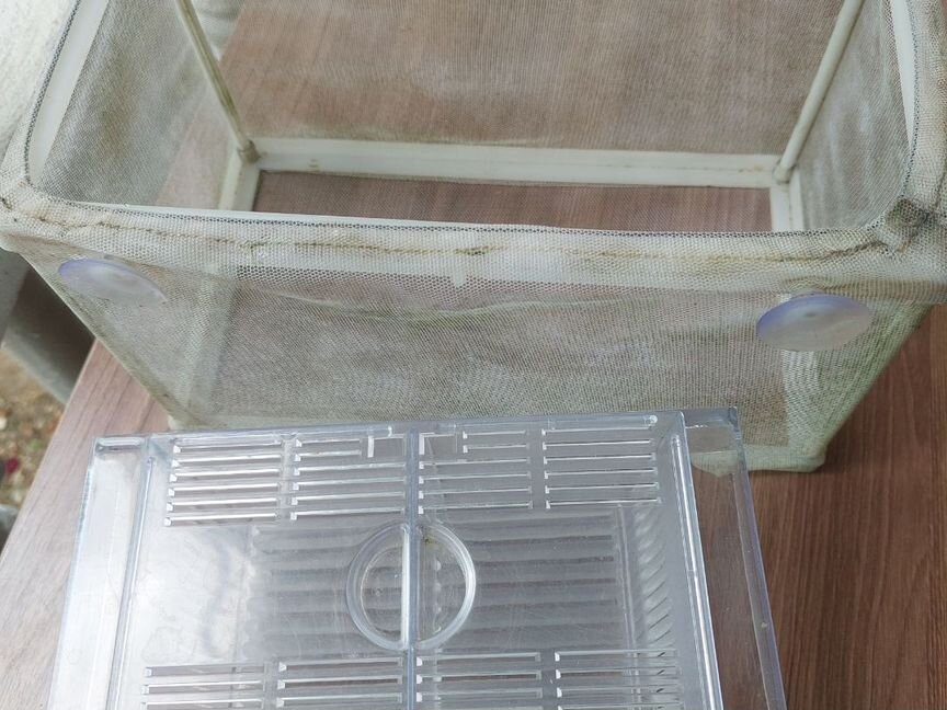 Отсадники для аквариумных рыб