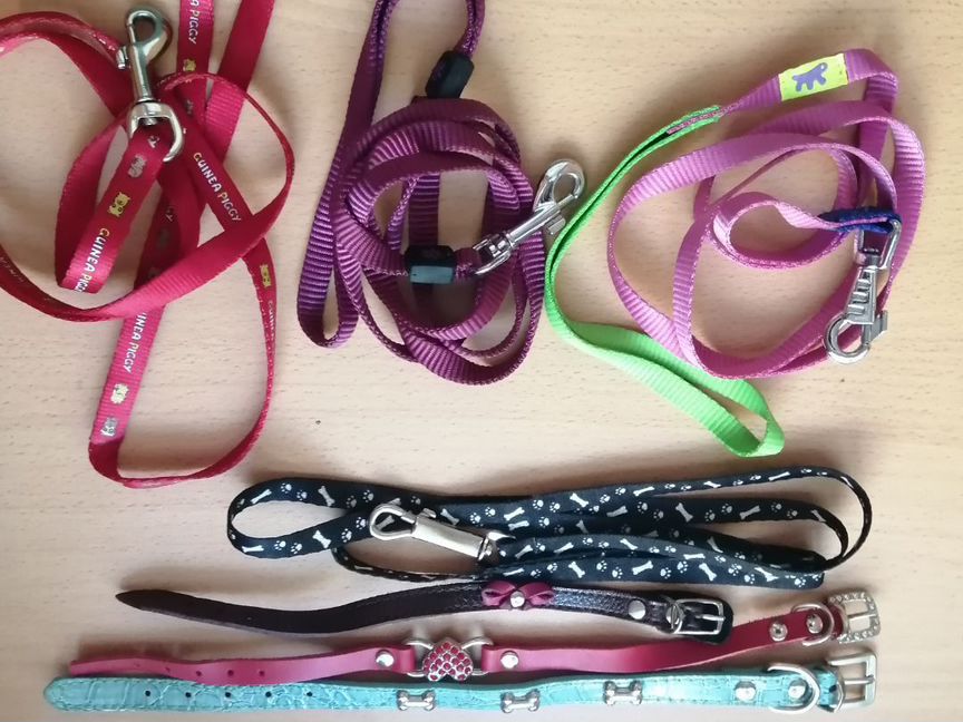 Ошейники и поводки для собак