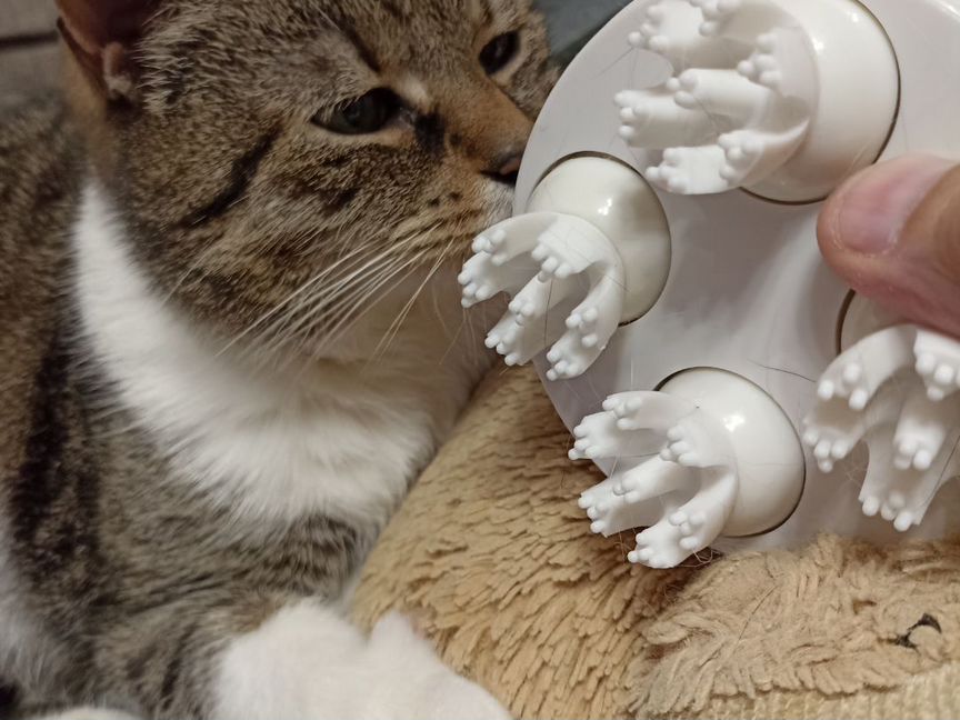 Новый электрический массажёр для кошек и собак