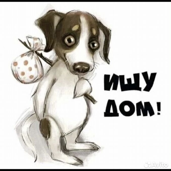 Хочу найти своих мам и пап