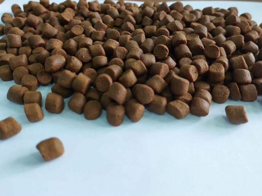 Корм для форели