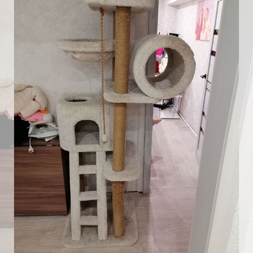 Когтеточка