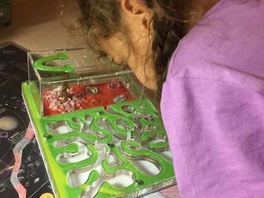 Муравьиная ферма