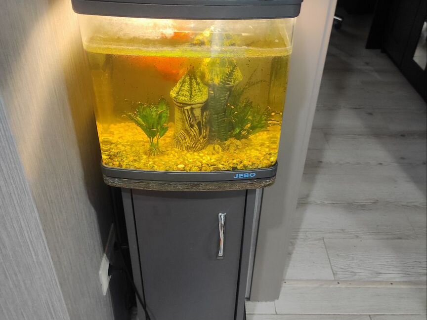 Бронь Аквариум с рыбками бу