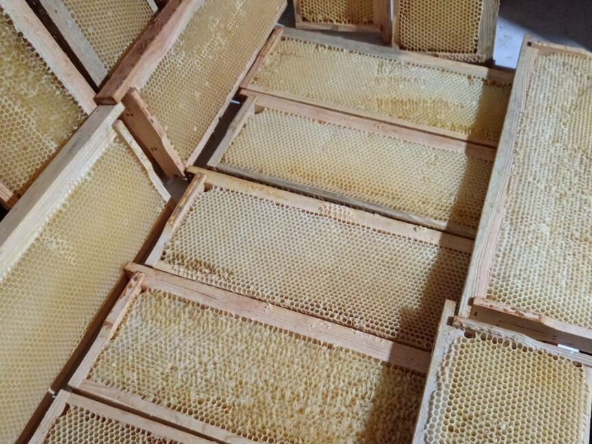 Рамки с вощиной магазин