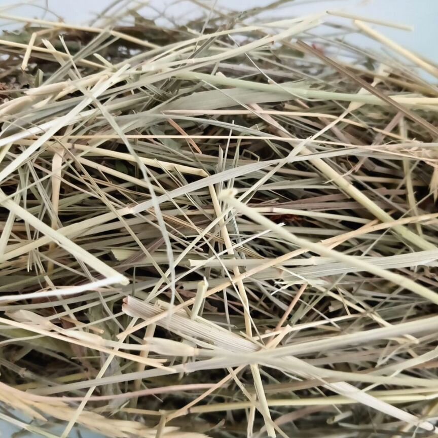 Сено в брикетах