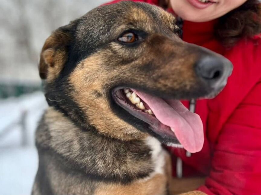 Ласковый Брют