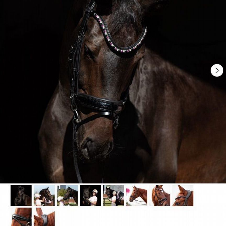 Уздечка для лошади full