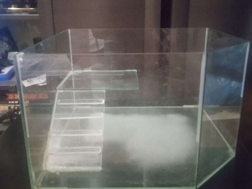 Террариум для красноухой черепахи