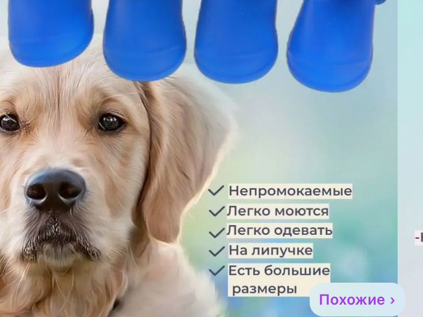 Сапожки для собак