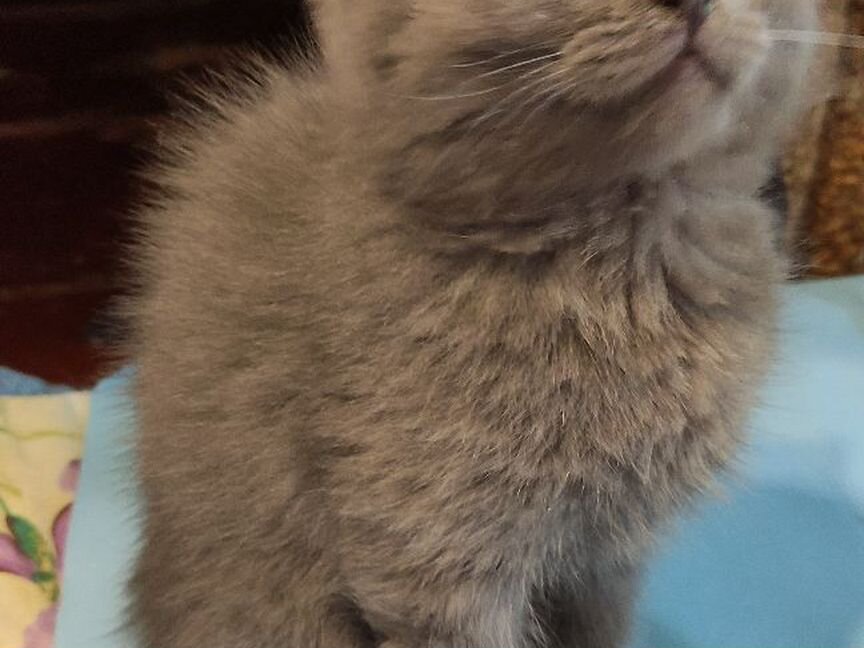 Малышка- супер