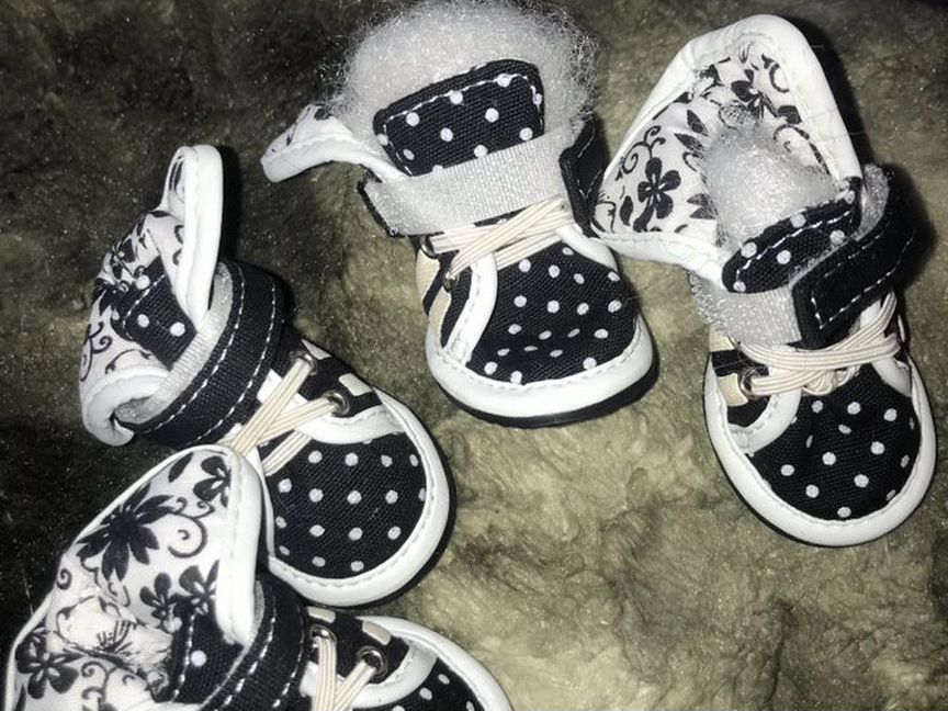 Новые Кеды для собаки