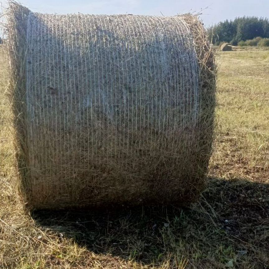 Сено солома в рулонах