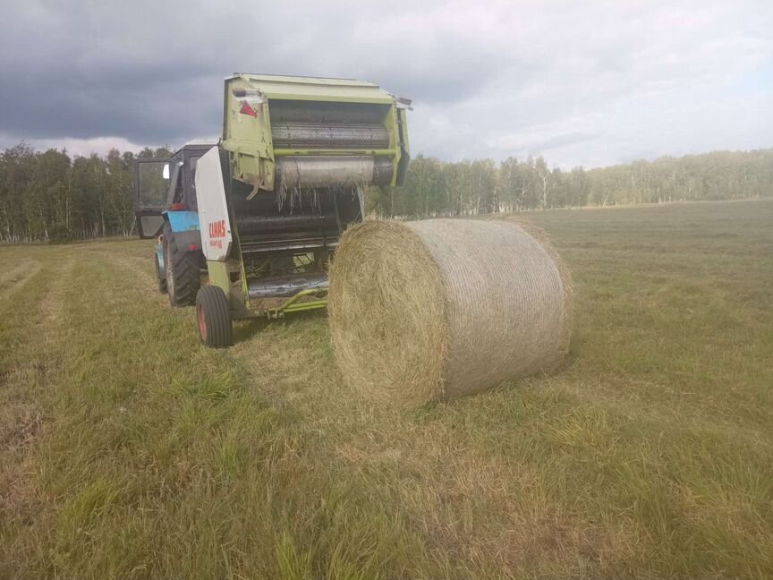 Продам сено в рулонах