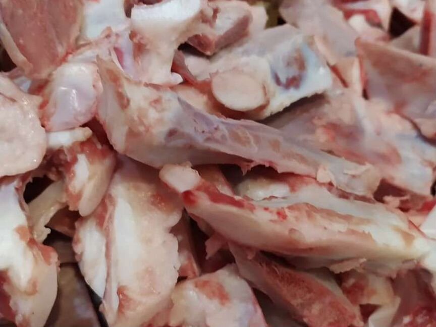 Собачья радость