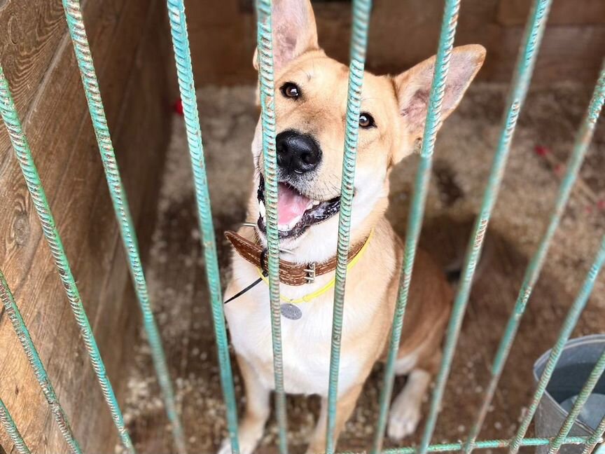 Молодой, невероятно ориентированный на человека