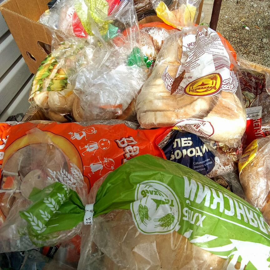 Корм для животных