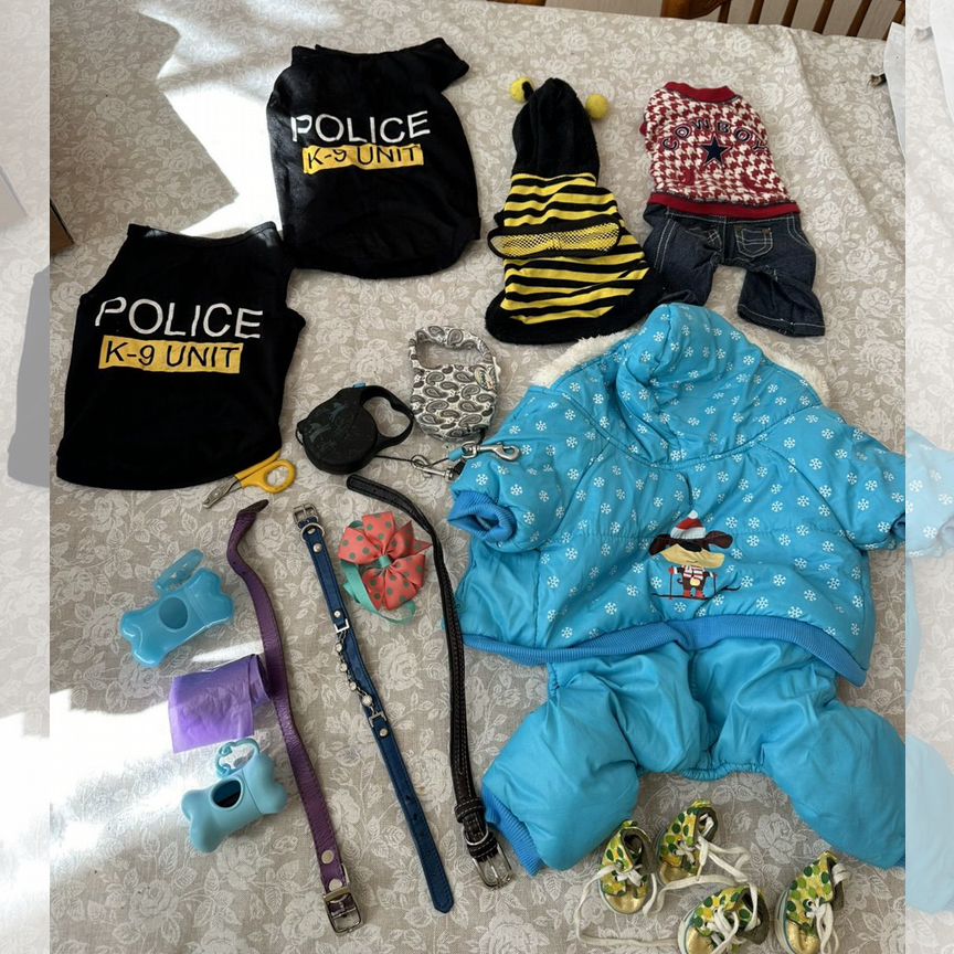 Одежда для маленьких собак