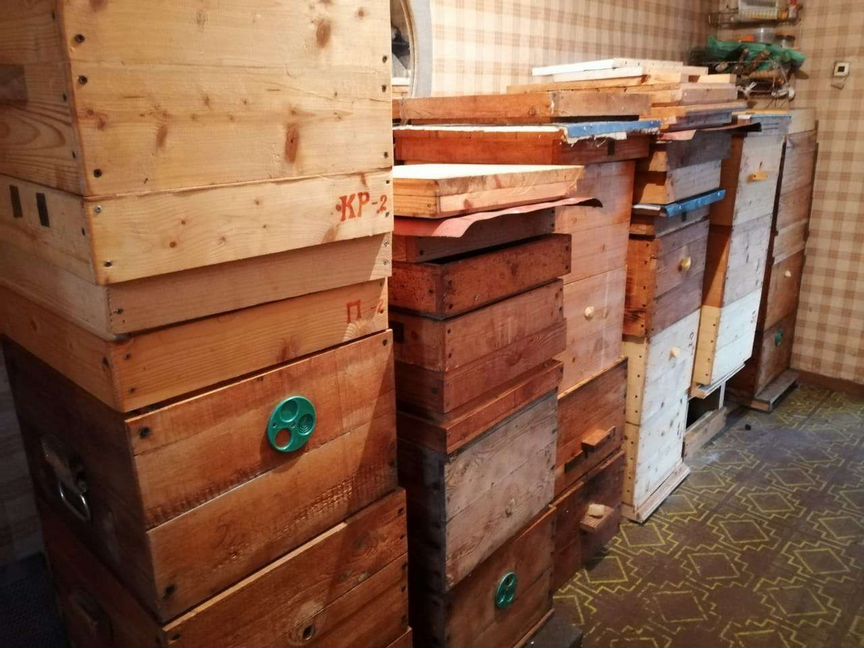 Улей Дадан бу, рамки и пр