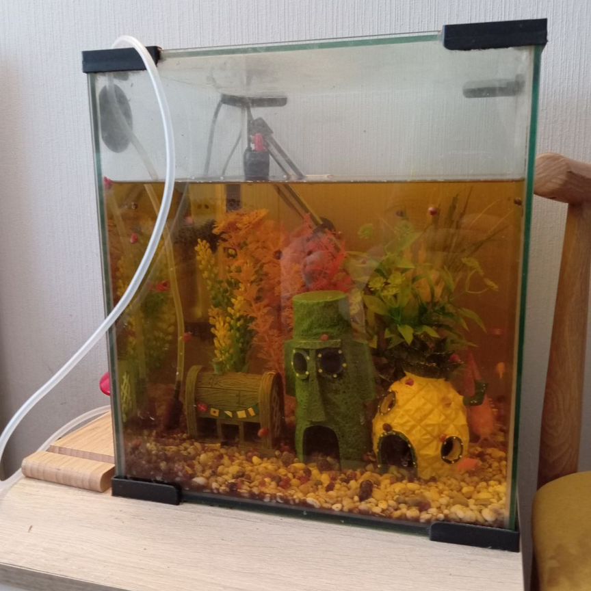 Аквариум 50 литров