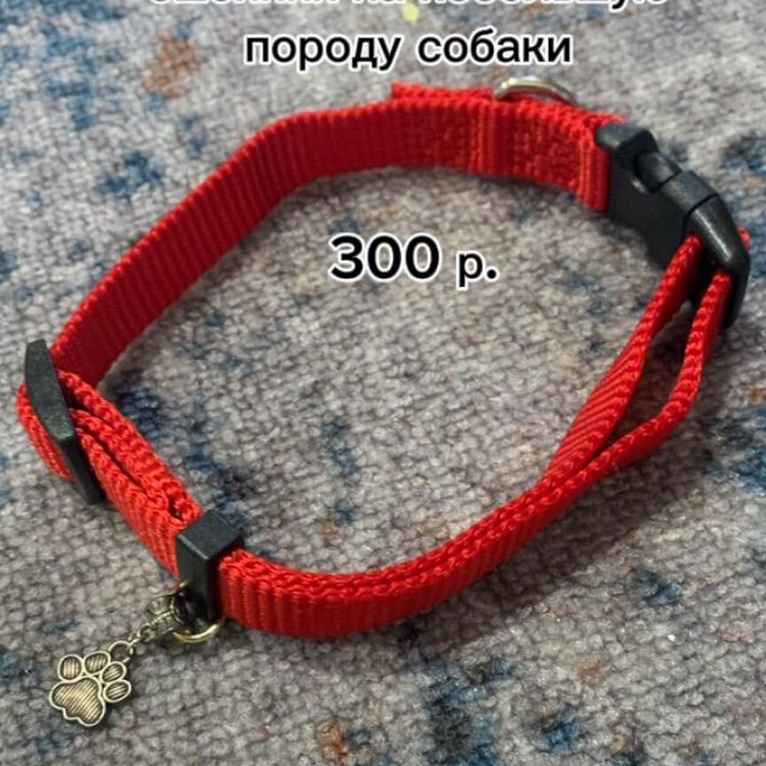 Собачьи вещи