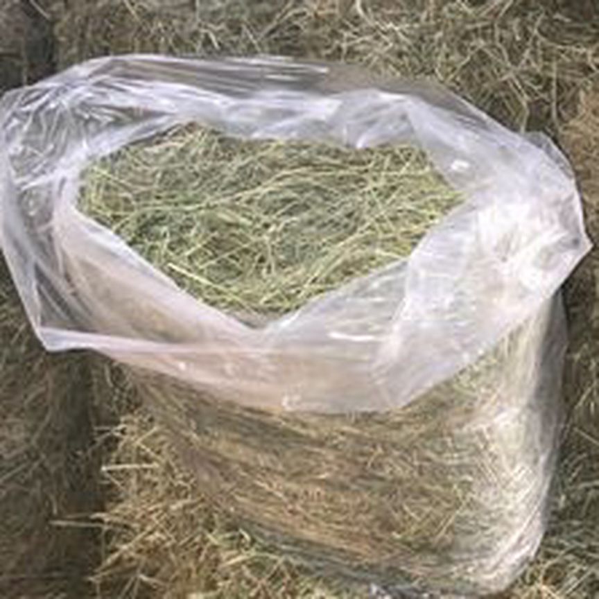Сено луговое мешки